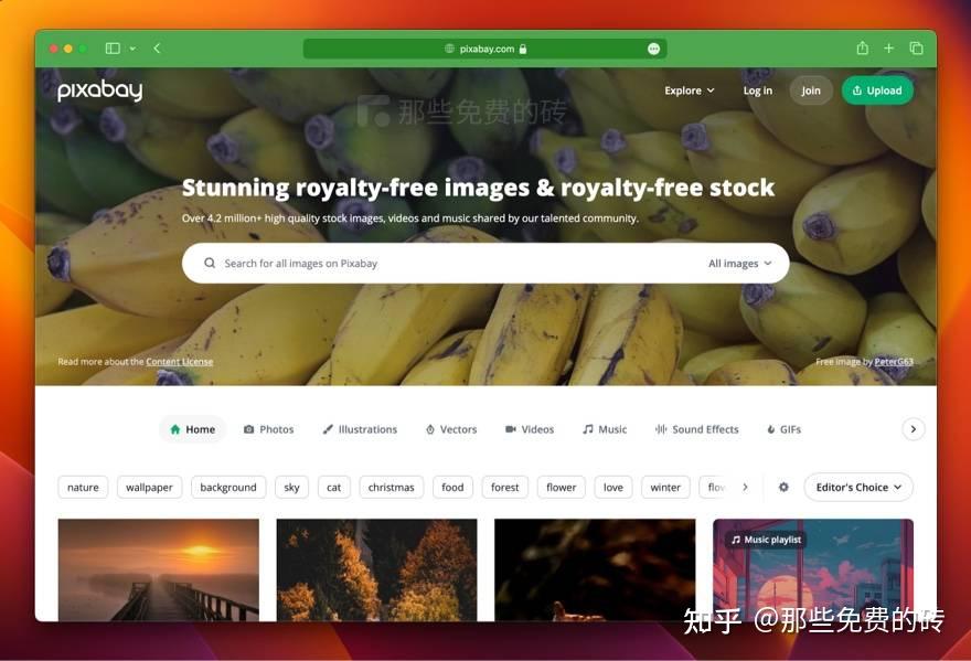 Pixabay - 2023年升级为全面的多媒体创意资源平台，涵盖图片、插画、矢量图、视频和音频，全都免费商用 - 知乎