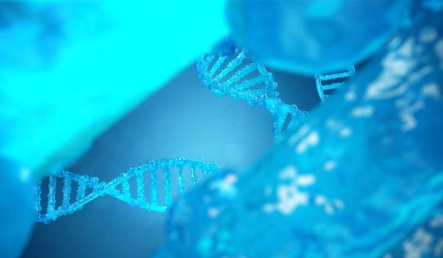 CRISPR/Cas12a基因组编辑技术及应用 - 知乎