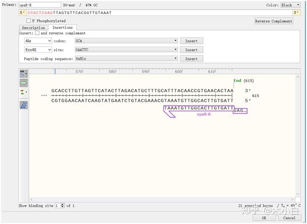如何使用SnapGene viewer 设计蛋白表达载体PET-32a的引物 - 知乎