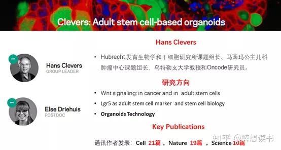 肿瘤类器官如何培养？Hans Clevers大佬在Nature Protocols分享详细方法！ - 知乎