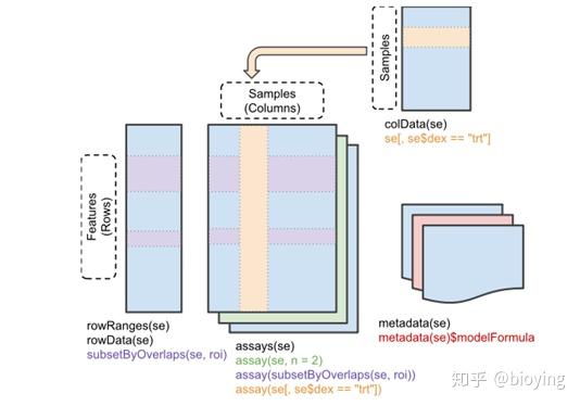 Bioconductor数据结构简介之SummarizedExperiment - 知乎