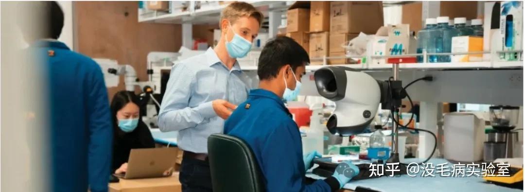 美国加州大学欧文分校：科学家突破性研究为脱发治疗带来新希望！ - 知乎