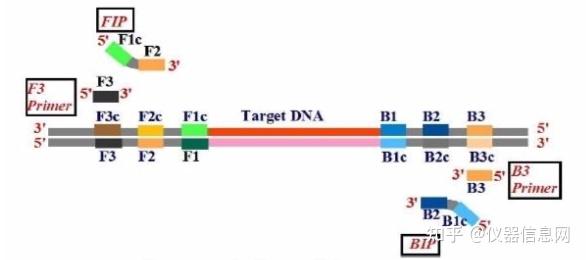 11万字讲懂PCR技术 & PCR仪器（持续更新） - 知乎