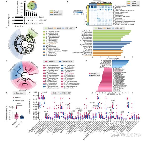 【项目文章】胆汁酸靶向代谢推动肝肠轴研究，深入肠道菌群、代谢物和药物关联 - 知乎