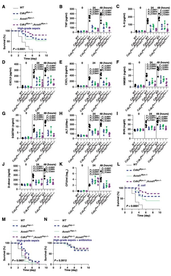 Science子刊丨脓毒症新靶点CDK2-ACOD1 - 知乎