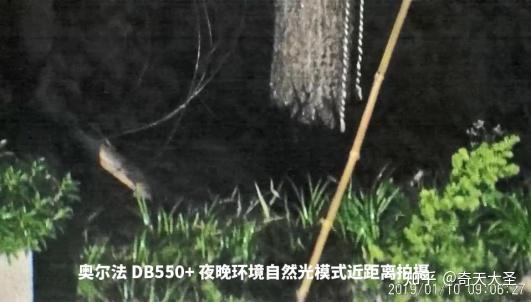越黑暗、越明亮，奥尔法 ORPHA DB550+数码夜视仪多种观测模式对比 - 知乎