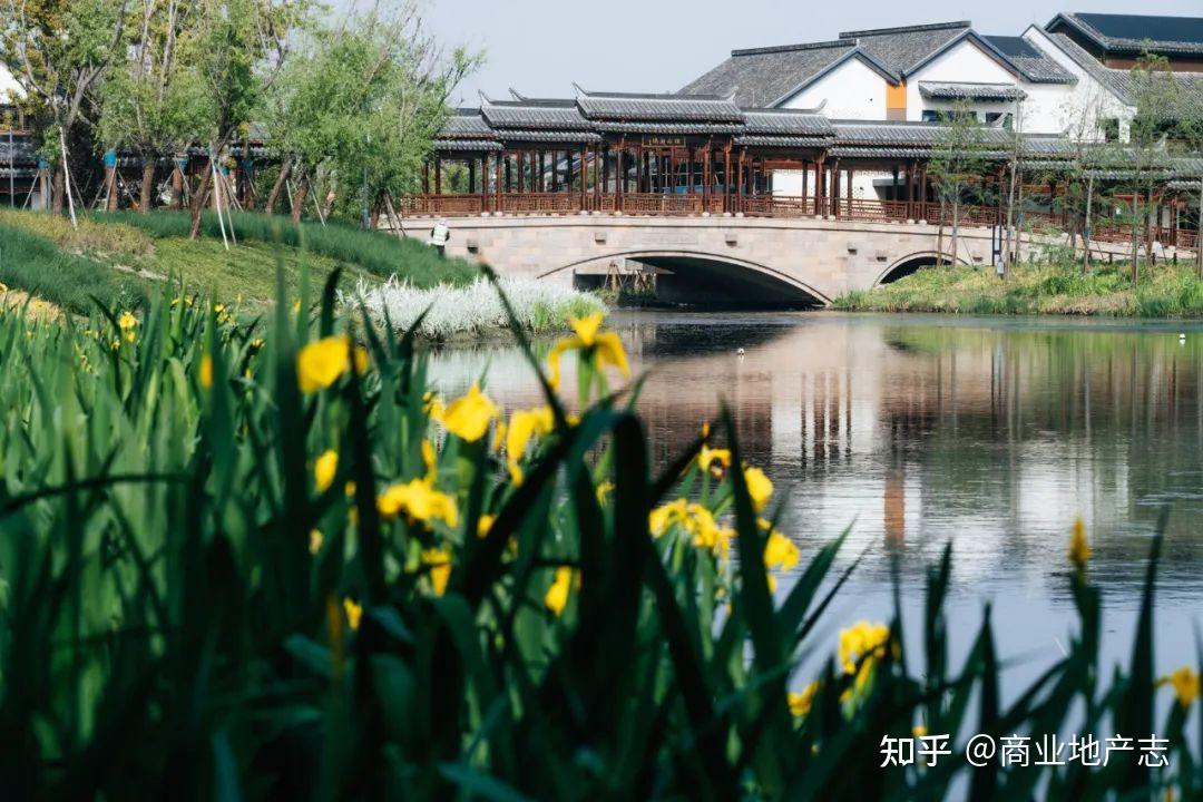 蟠龙天地4月29日开幕，15大核心看点全预告 - 知乎