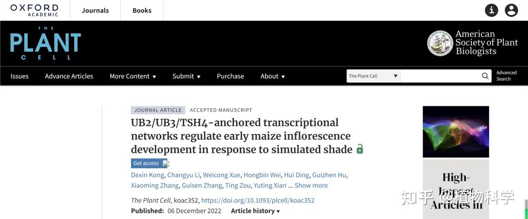 Plant Cell | 华南农业大学王海洋团队揭示一个以UB2/UB3/TSH4为核心的玉米花序转录调控网络 - 知乎