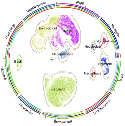 前沿生信服务丨CNS也在用的超惊艳细胞注释umap图 - 知乎