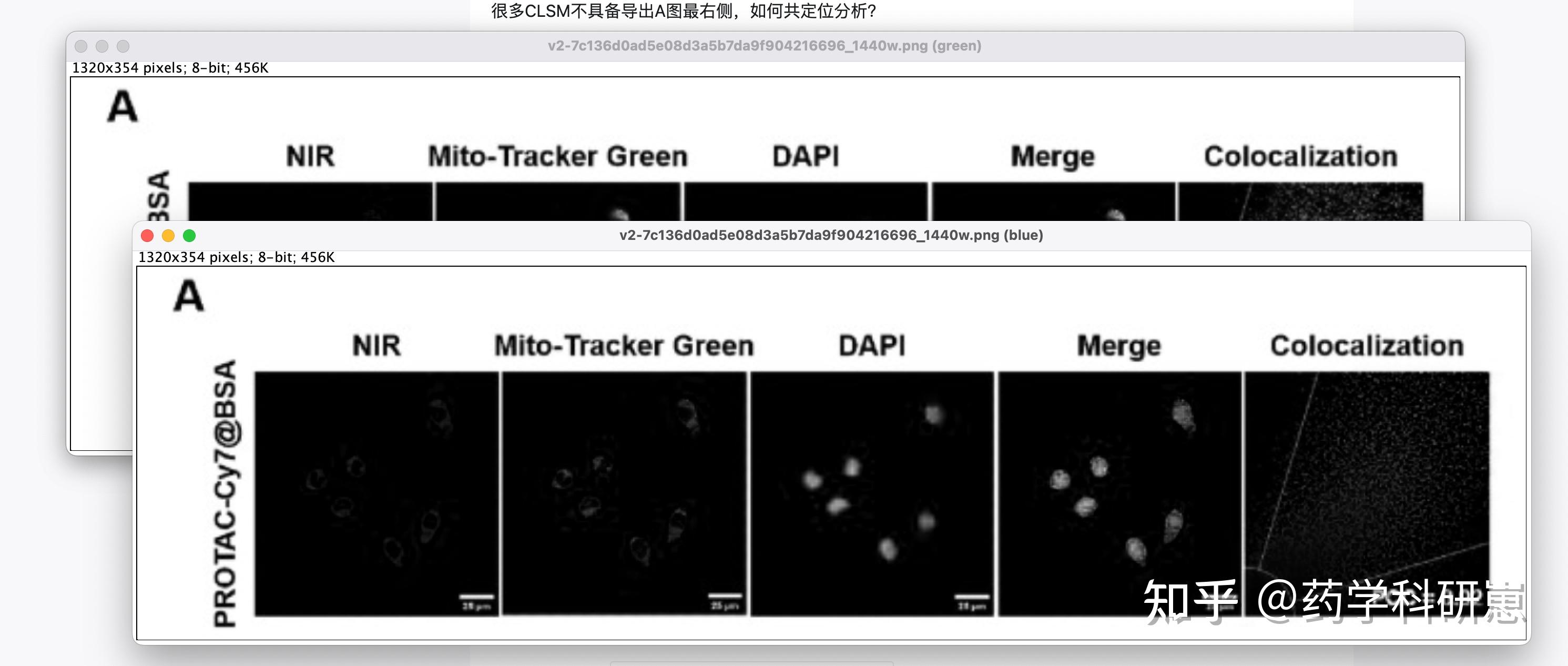 Image J 荧光共定位分析-较老婆版本-迪 - 知乎