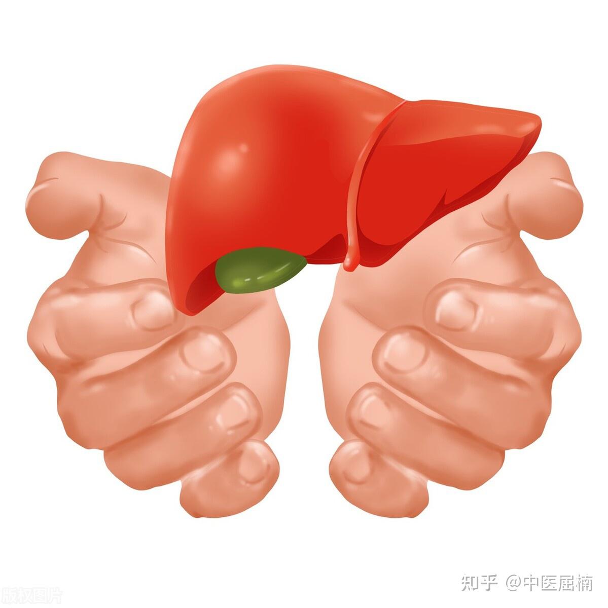 春养肝，病不沾！4个中成药，正确养肝护肝疏肝，保你健康一整年 知乎