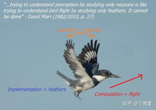 David Marr和他的三层次Vision - 知乎