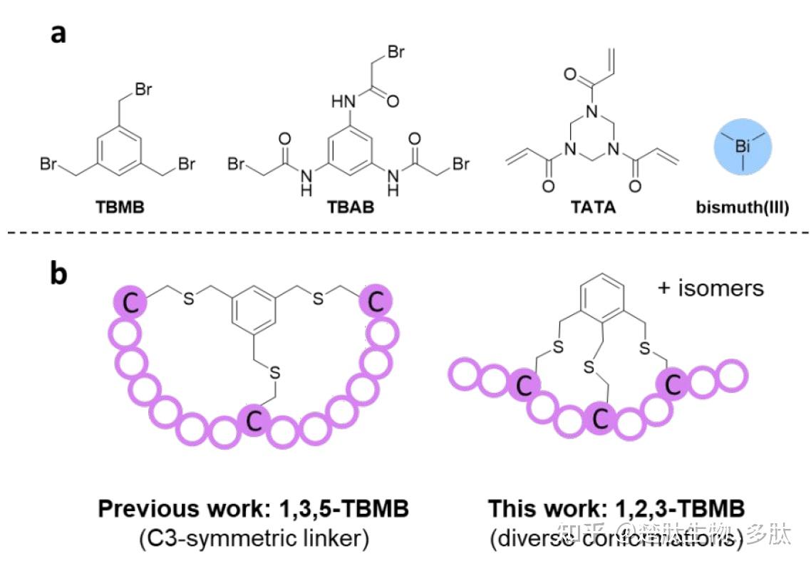 1,2,3-TBMB作为接头获得不同的双环肽构象;TBMB;TBAB,TATA不同linker - 知乎