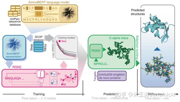 Nature子刊｜对孤儿蛋白结构预测，语言模型击败了AF2 - 知乎