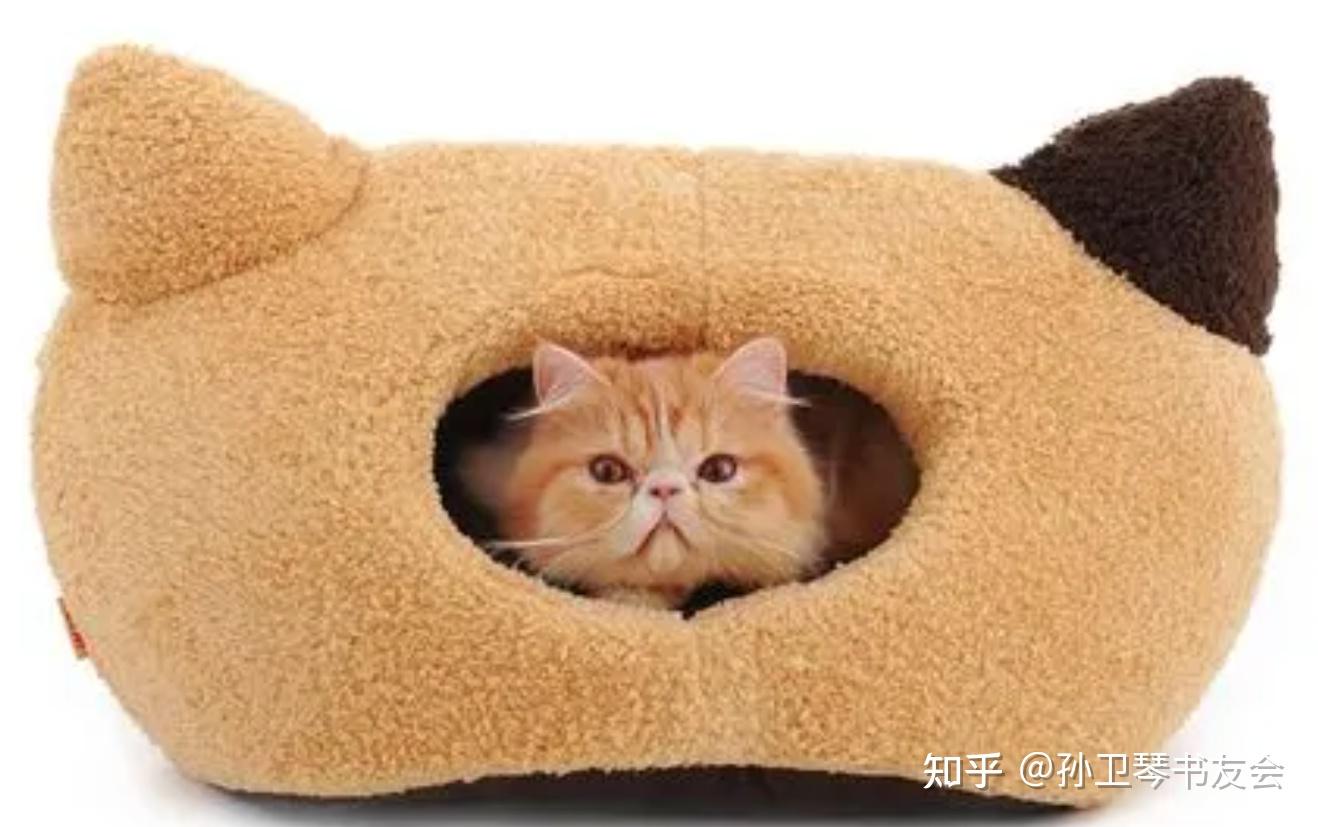 《Tomcat与Java Web开发技术详解》导读-Tomcat的三种工作模式 - 知乎