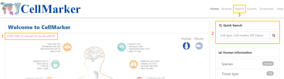 CellMarker：用来做细胞标记，很nice - 知乎