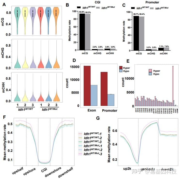 2024项目文章精选：DNA甲基化、RNA甲基化（m6A/m5C）、ChIP-seq、单细胞转录组、宏基因组｜易基因 - 深圳市易基因科技 - 博客园