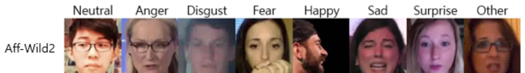 CVPR 2022 ABAW - 知乎