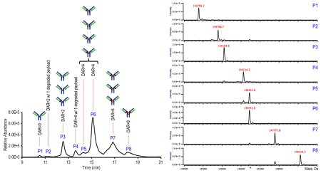 ADC抗体偶联药物分析方法 - 知乎