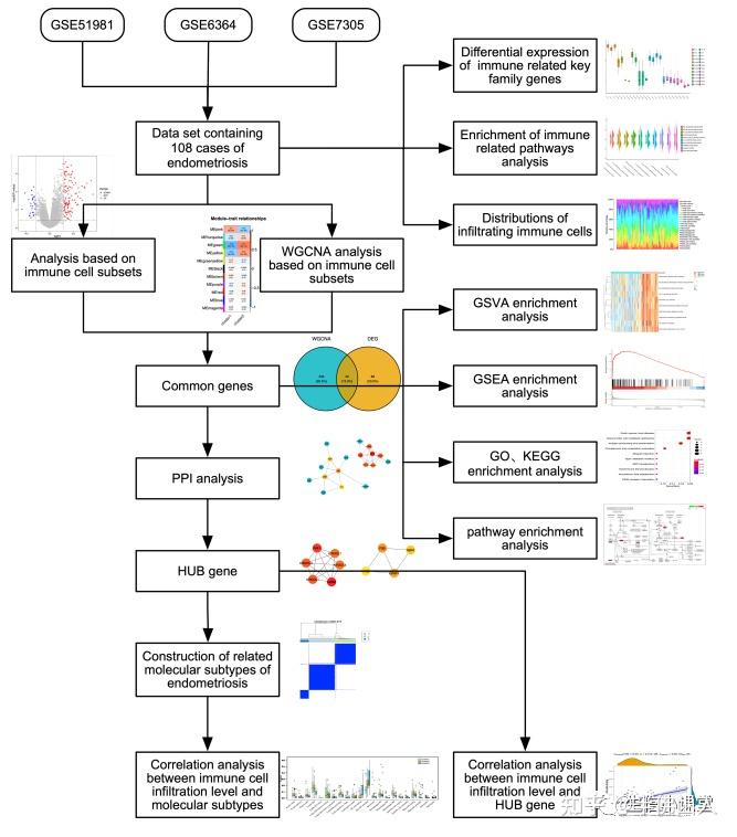 7+非肿瘤生信，基于免疫分型+WGCNA+PPI识别关键基因，对关键基因进一步分型以及表达验证。思路值得借鉴！ - 知乎