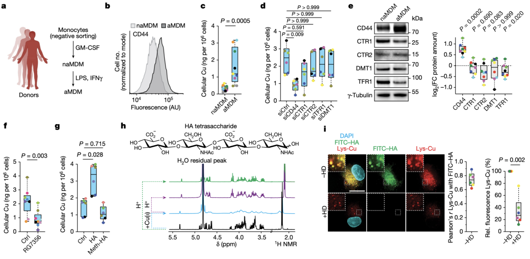 Nature丨热点丨细胞内铜对炎症和氧化应激的调控作用 - 知乎