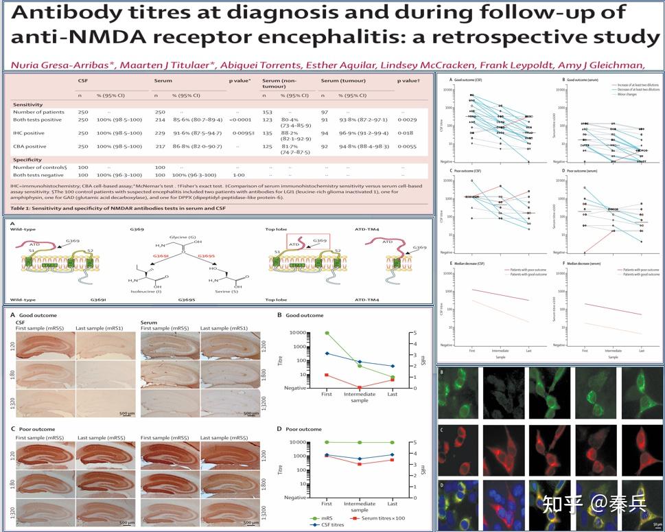 新版癫痫循证科普系列||抗NMDA受体抗体脑炎（二） - 知乎