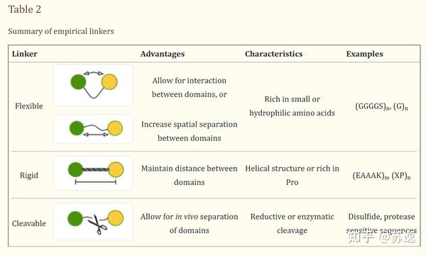 关于原核表达融合片段连接linker的选择 - 知乎