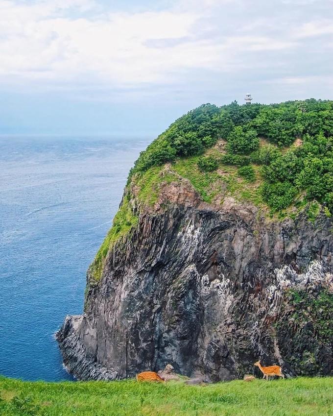 北海道道东||好多人去北海道，我去的是秘境 - 知乎