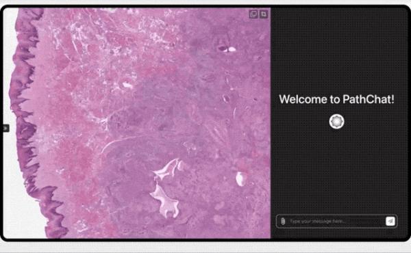 深度洞察｜ 病理基础大模型的前世今生（下） - 知乎