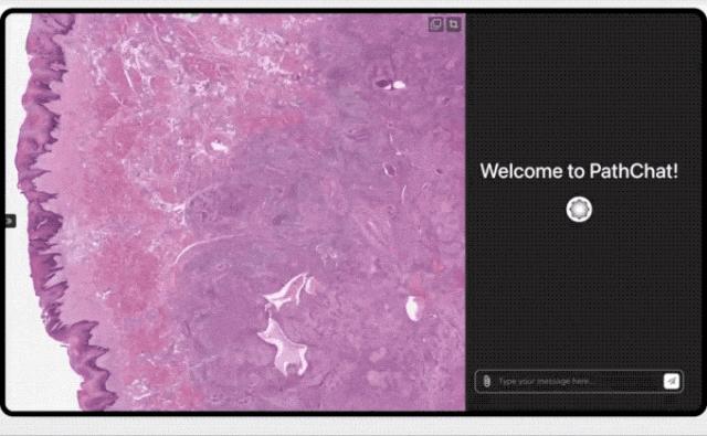 深度洞察｜ 病理基础大模型的前世今生（下） - 知乎