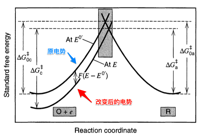 电化学动力学的核心：Butler–Volmer公式 - 知乎