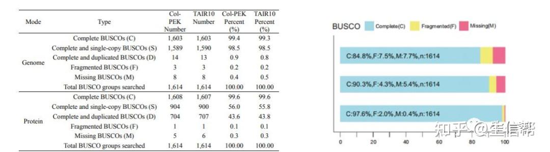 BUSCO评估结果你真的看透了吗？ - 知乎