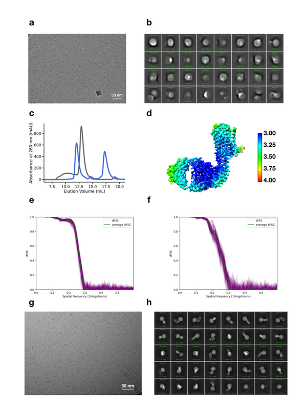 水木视界iss. 25 | 基于冷冻电镜的GPCR研究：融合蛋白策略 - 知乎