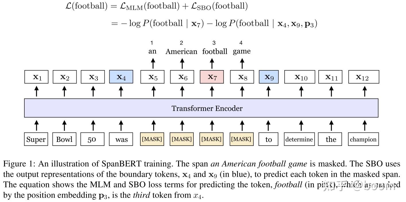 详解SpanBERT: Improving Pre-training by Representing and Predicting Spans - 知乎