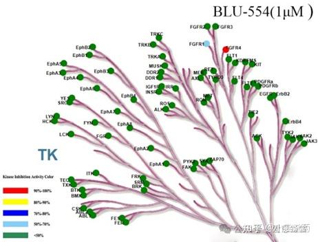 Kinase Panel_激酶谱_爱思益普 - 知乎