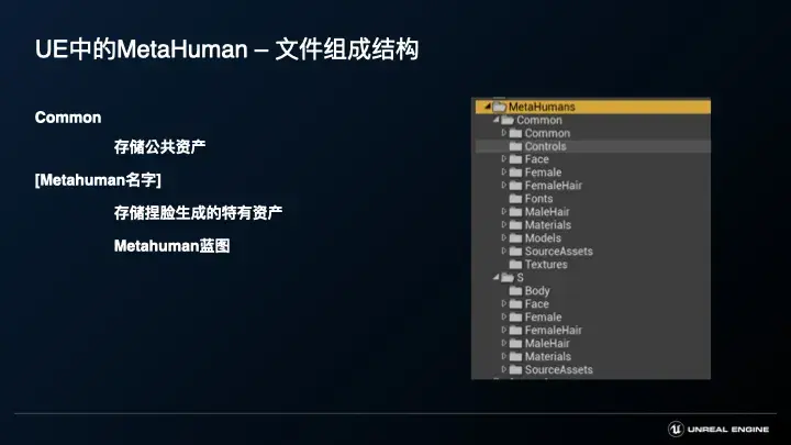 MetaHuman原理及流程浅析 - 知乎