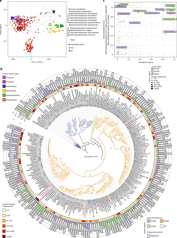Nature Microbiology | Jeff Dangl团队研究揭示植物微生物组的生长素调节机制！ - 知乎