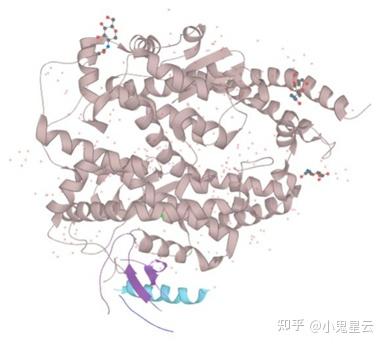 新冠病毒有其他受体(5)：重新认识ACE2和S蛋白 - 知乎