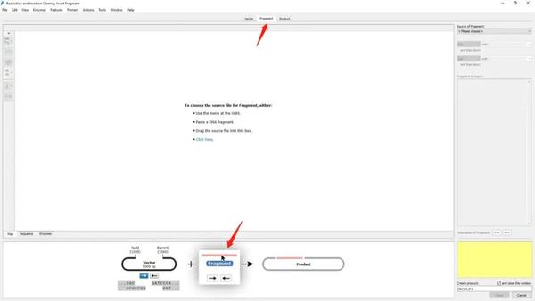 SnapGene 初学者指南 | 使用【Actions】来计划和预测你的克隆实验 - 知乎