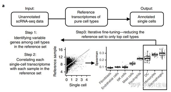 两款自动注释软件-SingleR和scCATCH的原理与使用差异 - 知乎