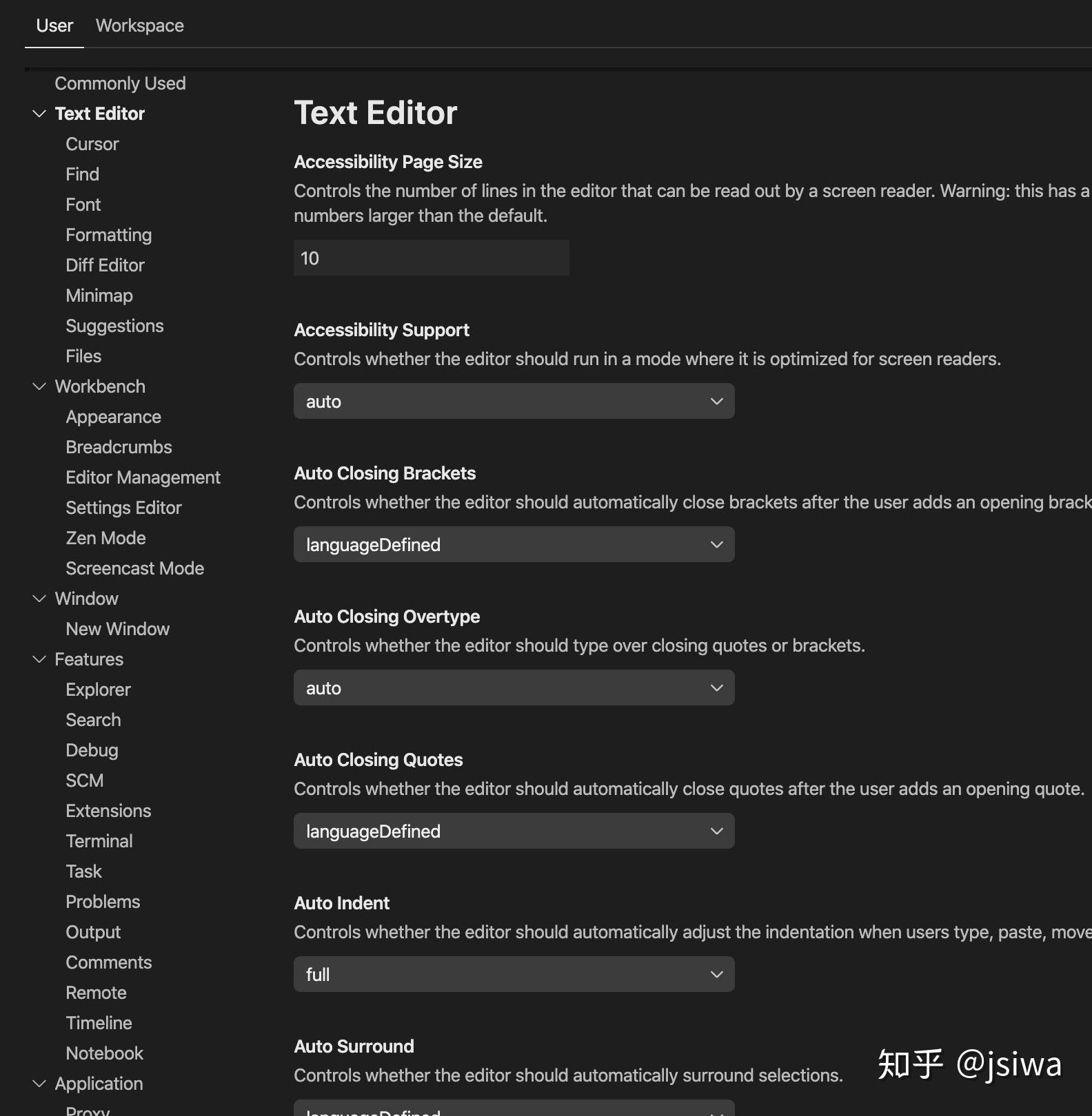 VScode 自定义设置「settings.json」 - 知乎