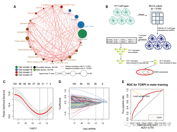 基于19种T细胞的生信分析来喽！着眼于“T细胞间互作”，8分+细胞对算法构建预后指数的思路~极具借鉴意义，速围观！ - 知乎
