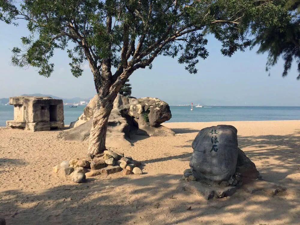 网红”鼓浪屿的b面 知乎
