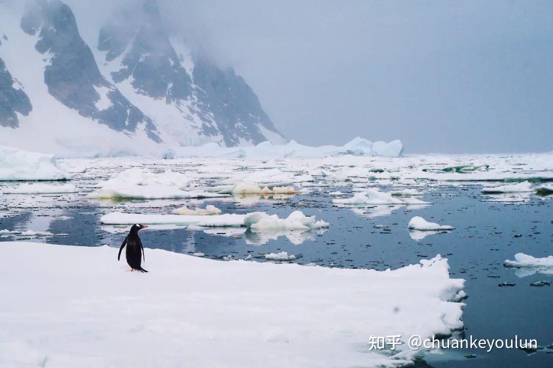 刚刚过去的南极季，看看IAATO怎么说？ - 知乎