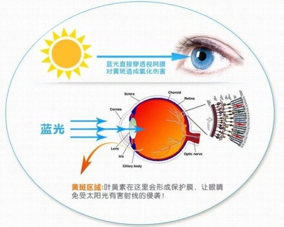 每天对着电脑十个小时的工作和学习，怎么保护眼睛呢？