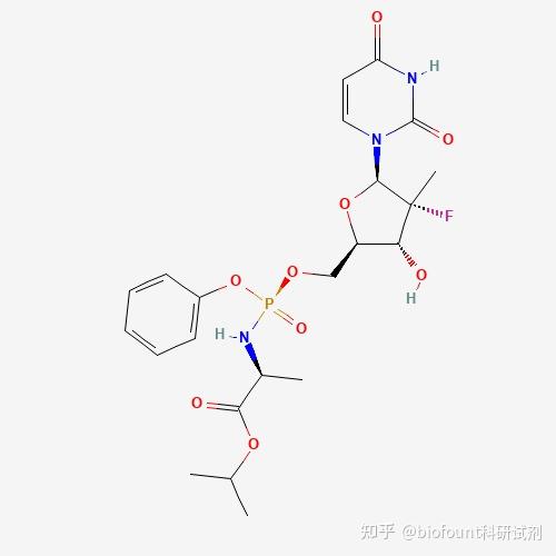 Sofosbuvir（索非布韦）；RNA聚合酶抑制剂 - 知乎