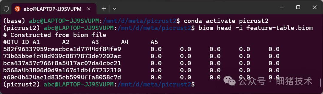 PICRUSt2标准分步分析流程实操 - 知乎