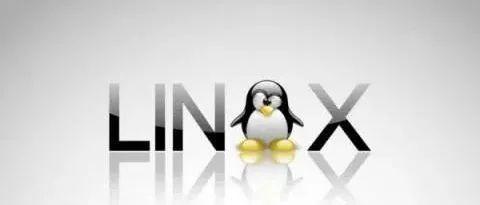 50 个应知必会的 Linux 常识和操作！ - 知乎