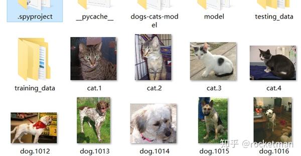 Tensorflow实战-01-猫狗识别 - 知乎