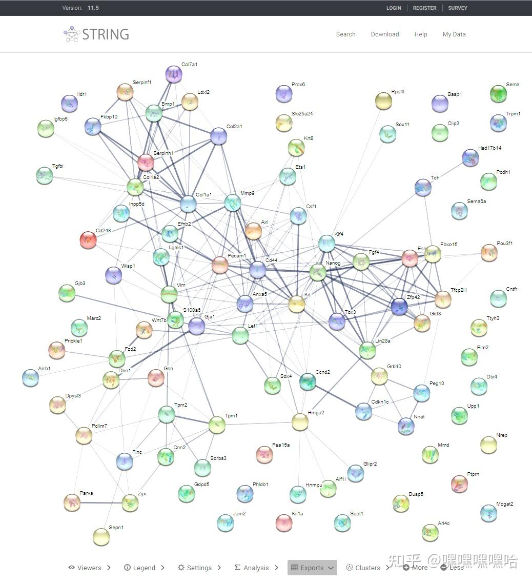 RNA-seq入门实战（九）：PPI蛋白互作网络构建（上）——STRING数据库的使用 - 知乎